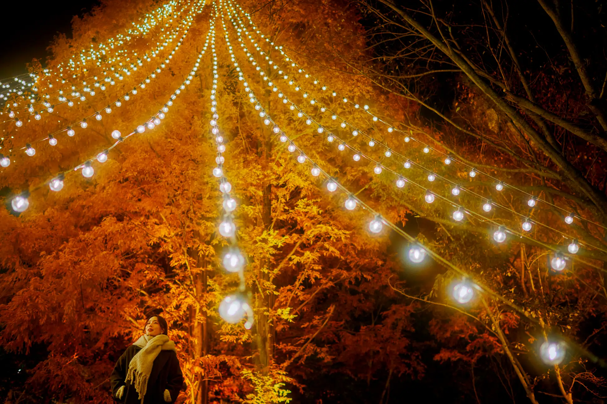 25mの巨大クリスマスツリーが登場！（11/9から）。絶景カフェテラス「ザ・ヴェランダ神戸」が新たに「夜景×イルミネーション」の新スポットに ...